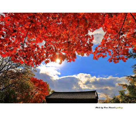 가을이 머무는 곳