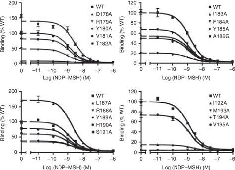 Ligand Binding Properties Of The Wt And Mutant Hmc3rs With Ndp Msh As Download Scientific