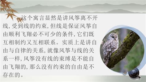 高中主题班会 自律，为遇见更好的自己 课件 23张ppt21世纪教育网 二一教育