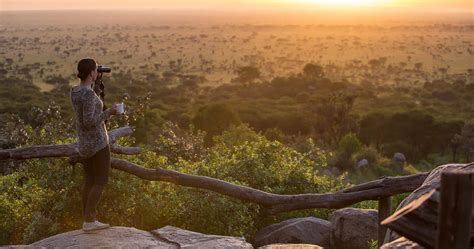 Serengeti Safari In Tanzania Safari Information For Your Serengeti