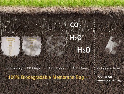 Extruded Commercial Polylactic Acid For Straw From China Manufacturer Orinko Advanced Plastics