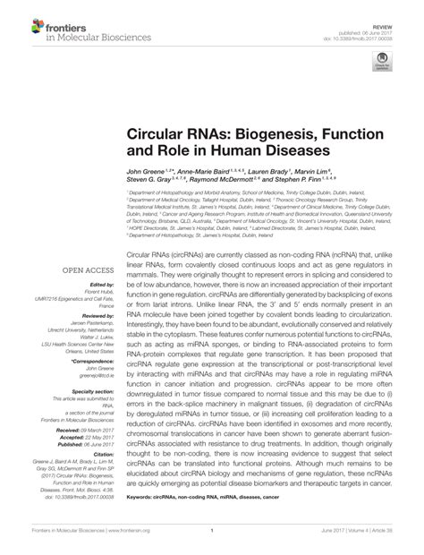 Pdf Circular Rnas Biogenesis Function And Role In Human Diseases