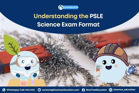 Hardest P5 Primary 5 Math Questions Updated 2025