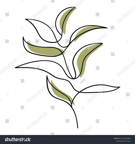 Single Line Drawing Art Tropical Leaves Stock Vector Royalty Free
