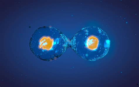 Prophase Background Images Hd Pictures And Wallpaper For Free Download