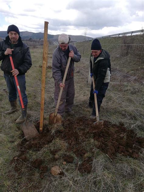 Засадиха липи в Старо село