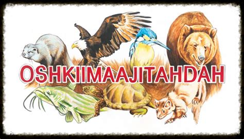 Oshkiimaajitahdah Red Lake Nation
