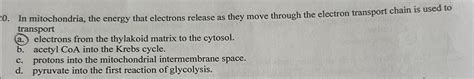 Solved In Mitochondria The Energy That Electrons Release As