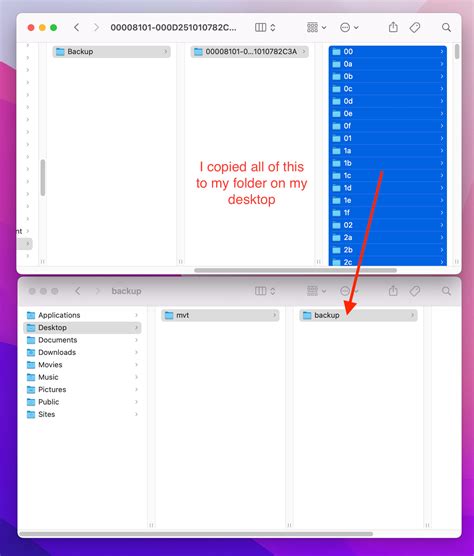 Mobile Verification Toolkit At Russell Torres Blog