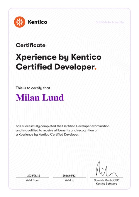 Milan Lund Full Stack Web Developer Solution Architect Consultant