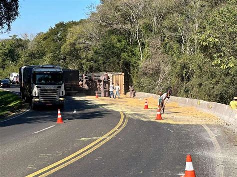 Carga de soja é saqueada após tombamento de carreta no PR