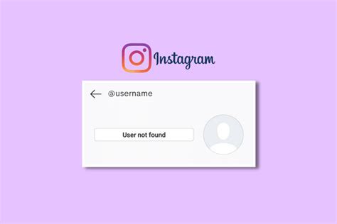How To Fix User Not Found On Instagram Techcult