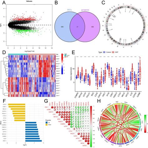 Identification Of Deprgs In Endometrial Tissue In The Gse51981 Dataset