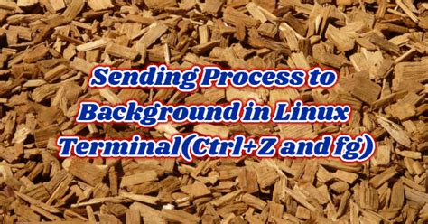 Sending Process To Background In Linux Terminal Ctrl Z And Fg Systemconf