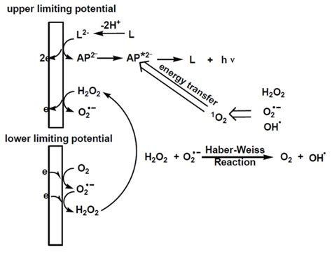 Progress Of The Electrochemiluminescence Biosensing Strategy For