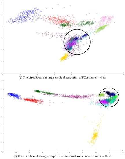 Feature Line Embedding Based On Support Vector Machine For