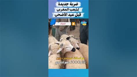 Shortsبلاغ عاجل الشعب المغربي يتلقى ضربة موجعة قبل عيد الاضحى اليوم