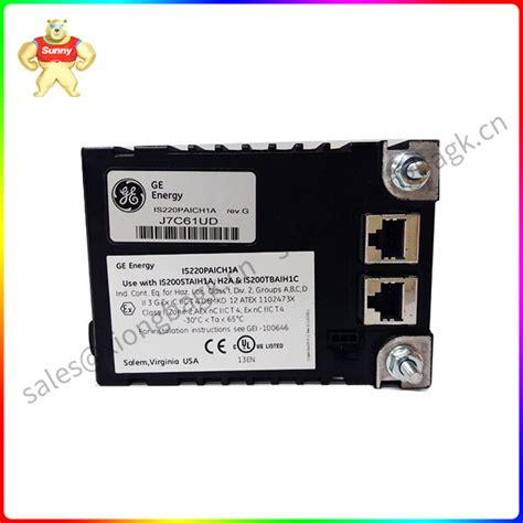IS220PAICH1A Analog I O Pack GE Xiamen Xiongba E Commerce Co Ltd