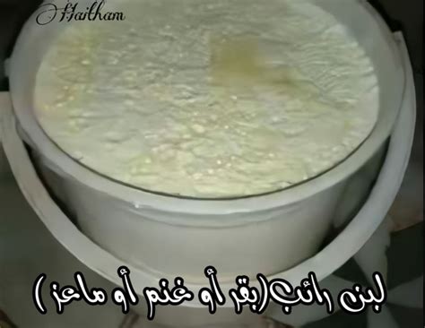 لبن رائب