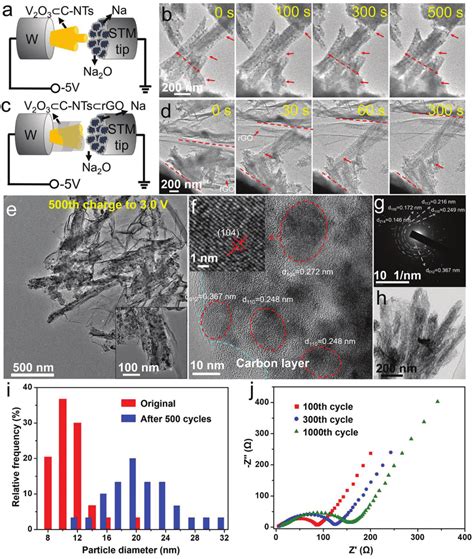 Synergistic Effects Determined By In Situ Tem Ex Situ Sem And Tem Download Scientific Diagram