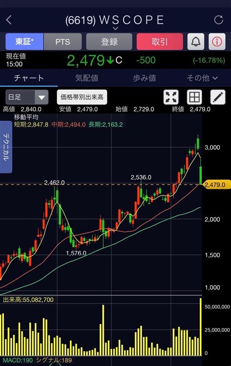 ダブスコショックから学ぶこと 株30万円チャレンジの記録