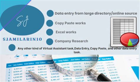 Do Data Entry Copy Paste And Excel Data Entry Work By Sjamilarin10 Fiverr