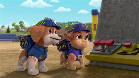 Wheelergallerythe Crew Builds A Tunnel Paw Patrol Wiki Fandom