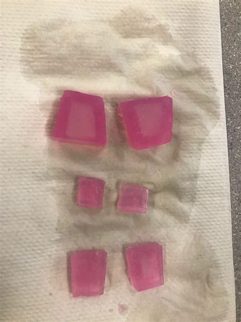Agar Cube Lab Reflection Haileys Blog