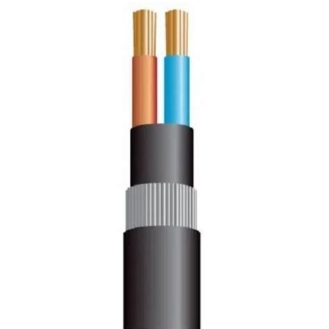 2 5sq Mm 2 Core Copper Armoured Cable Xlpe Cable 1100v Polycab At ₹ 77 5 Meter Polycab 4 Core
