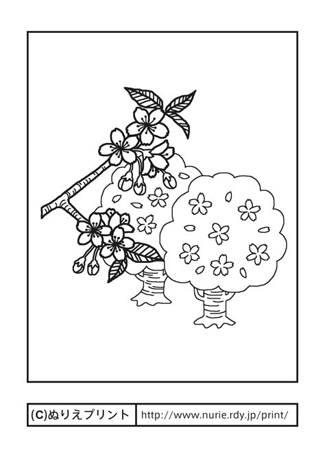 桜・花見 主線・黒 春の季節・行事 大人の塗り絵【ぬりえプリント】