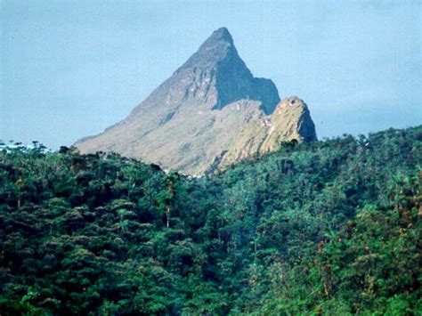 Pico Da Neblina Brasil Información Turística