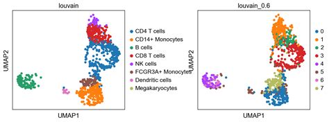 Scanpy06celltype