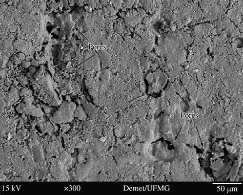 Composite C11 Backscatter Mode Scanning Electron Microscopy Image