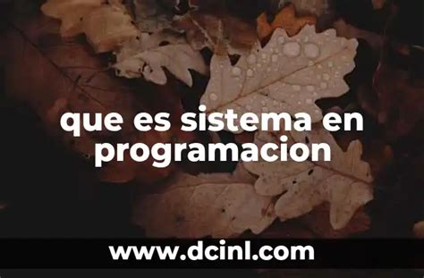 Que Es Sistema En Programacion Ejemplos Concepto Guia