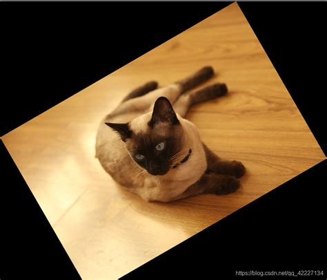 Python图像处理标准库pillowpil——image常用内容整理小鑫同学的博客 Csdn博客