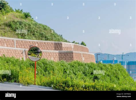A Roadside Scene With A Convex Mirror Reflecting The Retaining Wall And Greenery In Daejeon