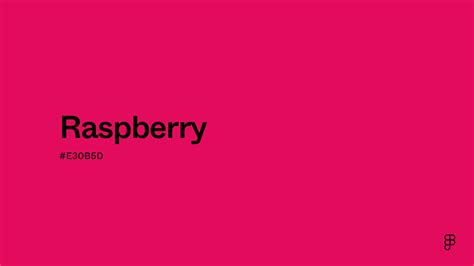 Raspberry Color Hex Code Palettes And Meaning Figma
