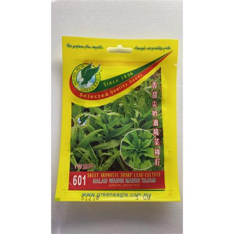 Biji Benih Salad Wangi Manis Tajam Sweet Aromatic Sharp Leaf Celtuce