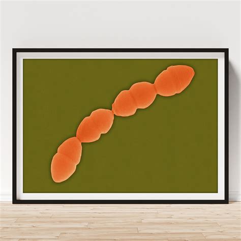 Streptococcus Pneumoniae 10 Framed Print By Science Photo Library Science Photo Gallery