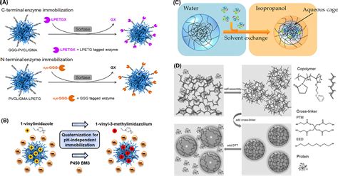 Responsive Microgels And Microgel Assemblies In Biocatalytic Applications Dubey 2023