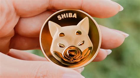 Top 9 who created shiba inu coin in 2022 Gấu Đây