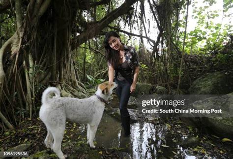 64 Sharon Kwok Photos And High Res Pictures Getty Images