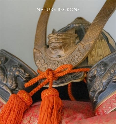 山中鹿之介と尼子十勇士より熱を込めて(上) Sakaguchikeika 山中鹿之介と尼子十勇士より熱を込めて(上) Sakaguchikeika