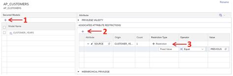 Sap Hana Cloud Series Part 6 How To Apply Analytic Privileges