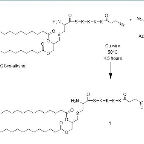 Schematic Of The Click Reaction Between Pam2cys Alkyne And Azide P3 Download Scientific Diagram