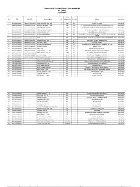Sdmk Baru Puskesmas Mabapura Pdf