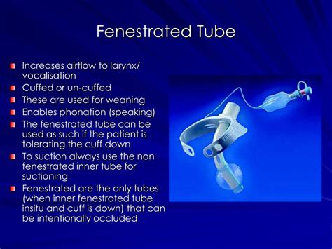Ppt Tracheostomy Care Powerpoint Presentation Id262076