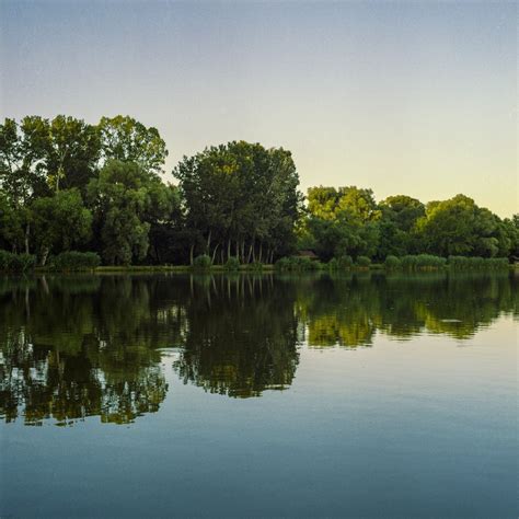 Banco de imagens panorama árvore agua natureza floresta plantar céu manhã folha lago
