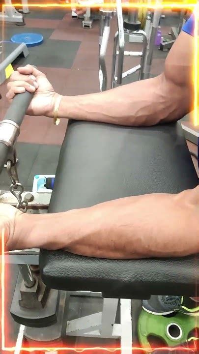 Forearm Curls Youtube