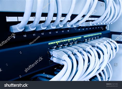 Cables Patch Panel Network Switch Stock Photo 15271255 Shutterstock